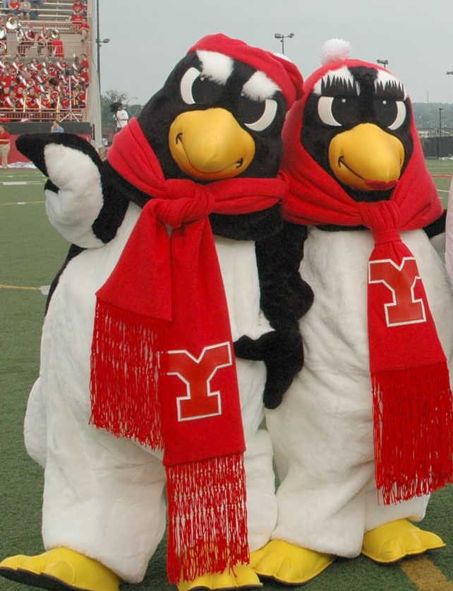 Growing Up in Working Class Youngstown — Penguins | Bob on Books