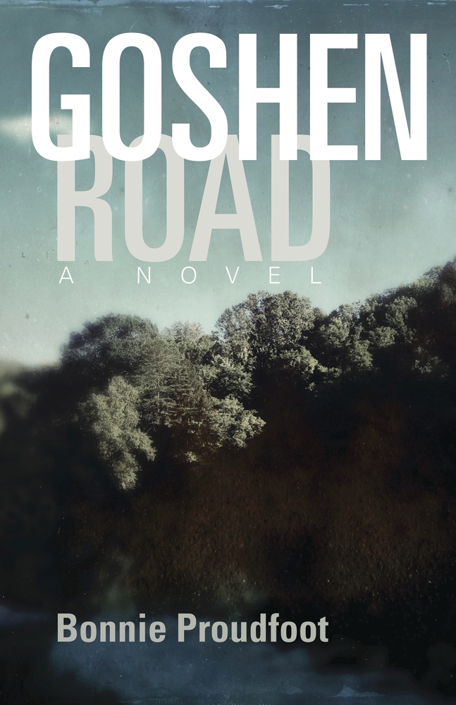 Review: Goshen Road - Bob on Books