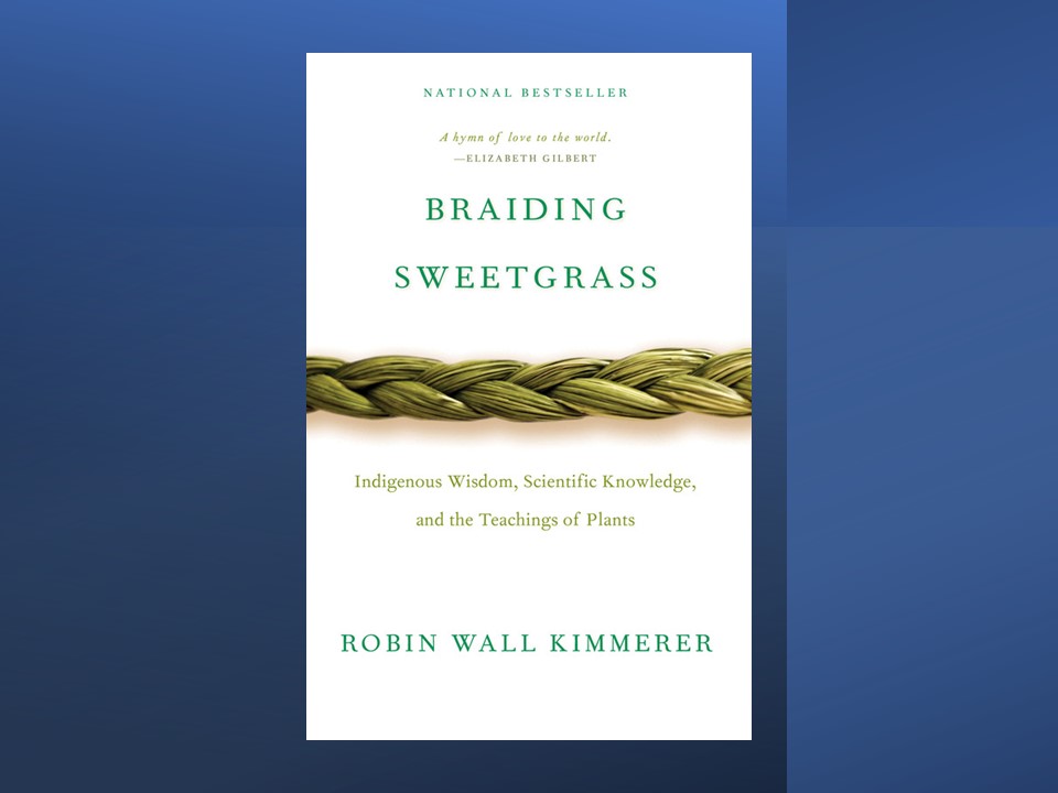 Review: Braiding Sweetgrass - Bob on Books