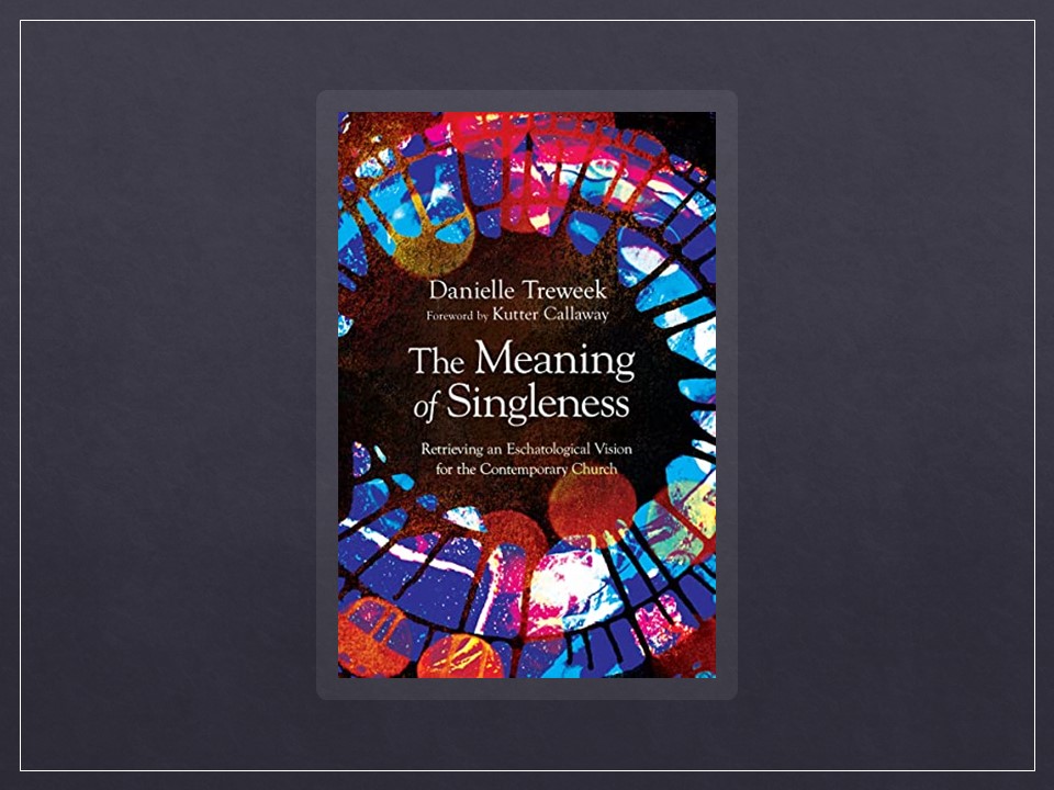 Review: The Meaning of Singleness | Bob on Books